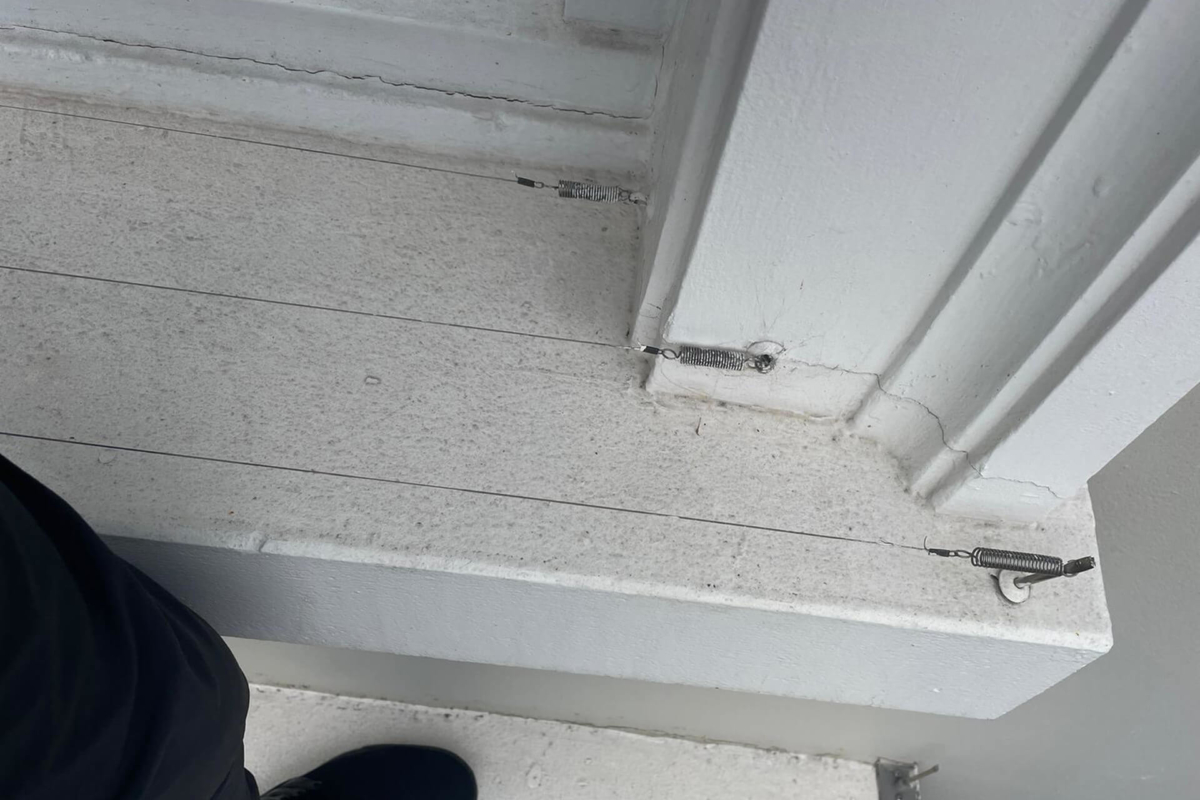 Bird Proofing & Bird Deterrent services in London & Essex