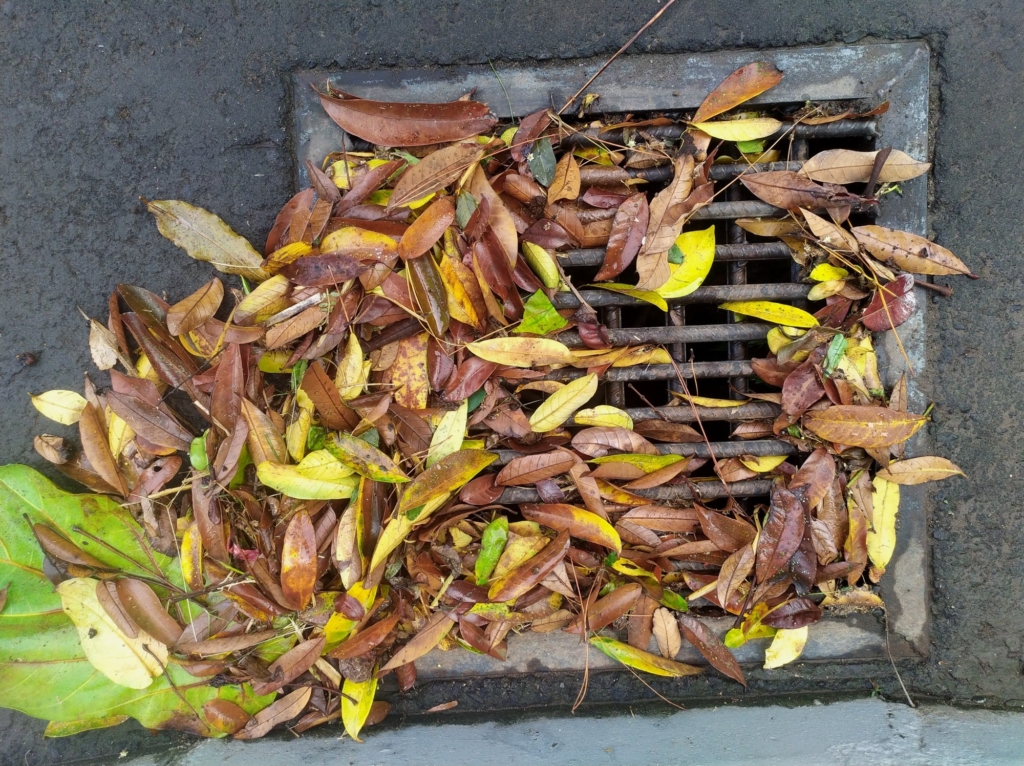 How to stop leaves blocking drains - easy drain clearance